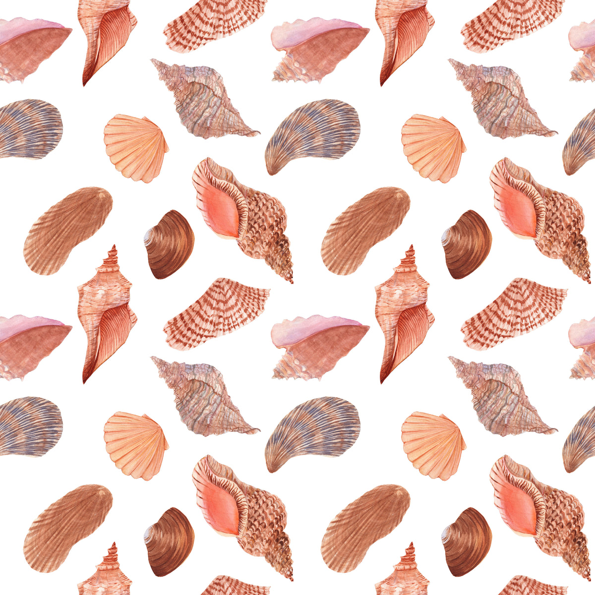 Seashell Patterns on White Fabric D1584 – Jersey Print Factory