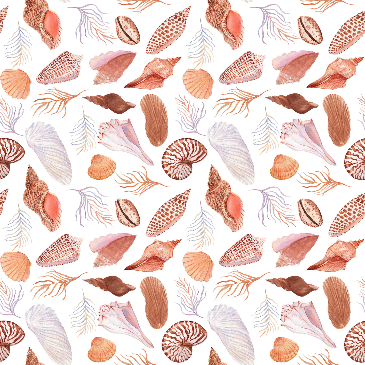 Seashell Patterns on White Fabric D1588 – Jersey Print Factory
